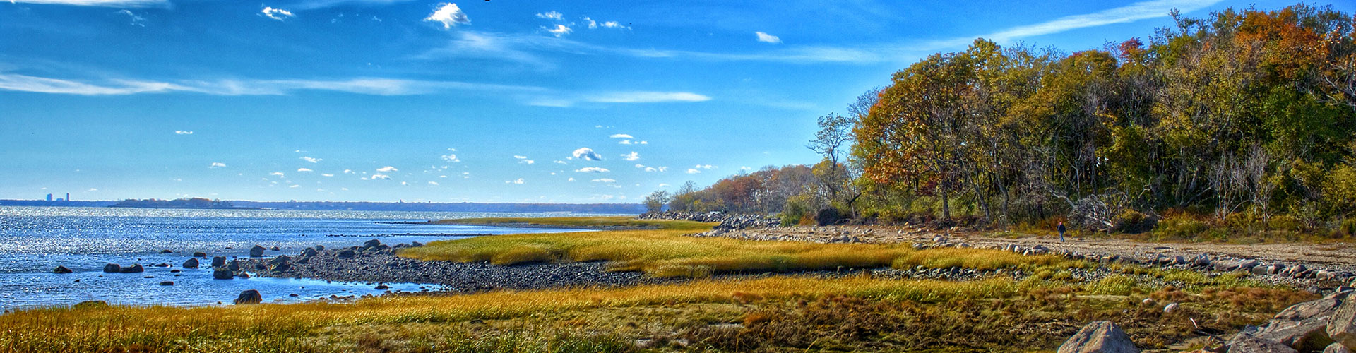 Contact Us - Connecticut Center for Recovery